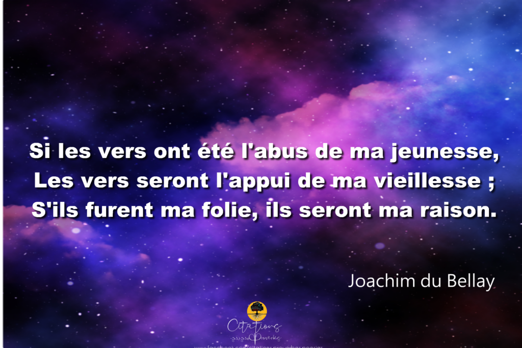 S'ils furent ma folie, ils seront ma raison. - Citations Proverbes et ...