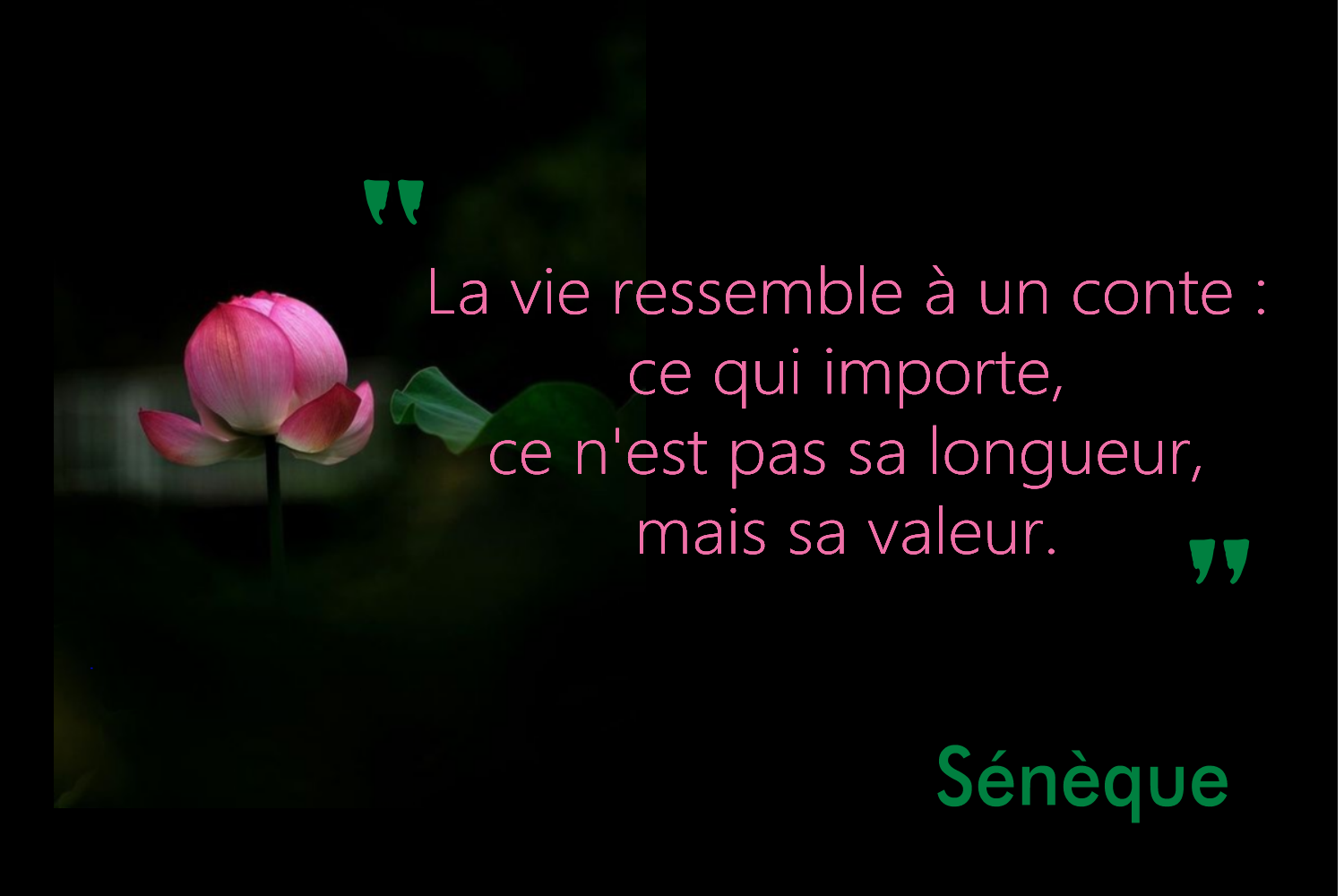 La vie est un conte - Sénèque - Citations Proverbes et Poésies