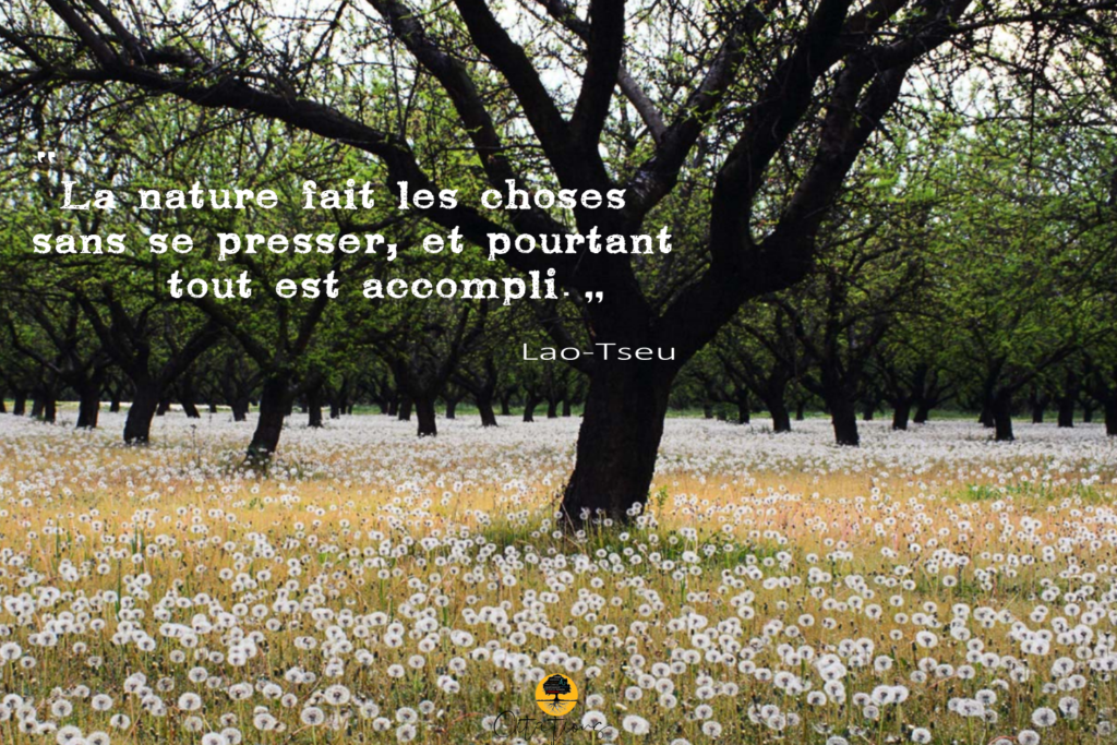 La nature fait les choses sans se presser, et pourtant tout est ... La nature fait les choses sans se presser, et pourtant tout est ...