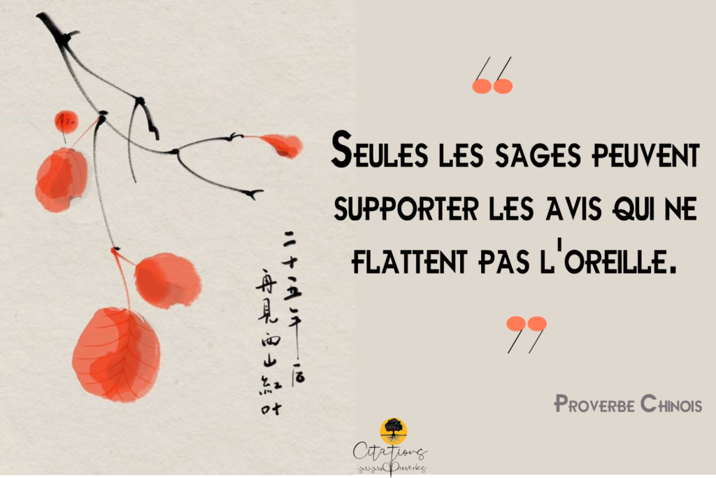 TOP 10 DES PROVERBES CHINOIS - Citations Proverbes et Poésies