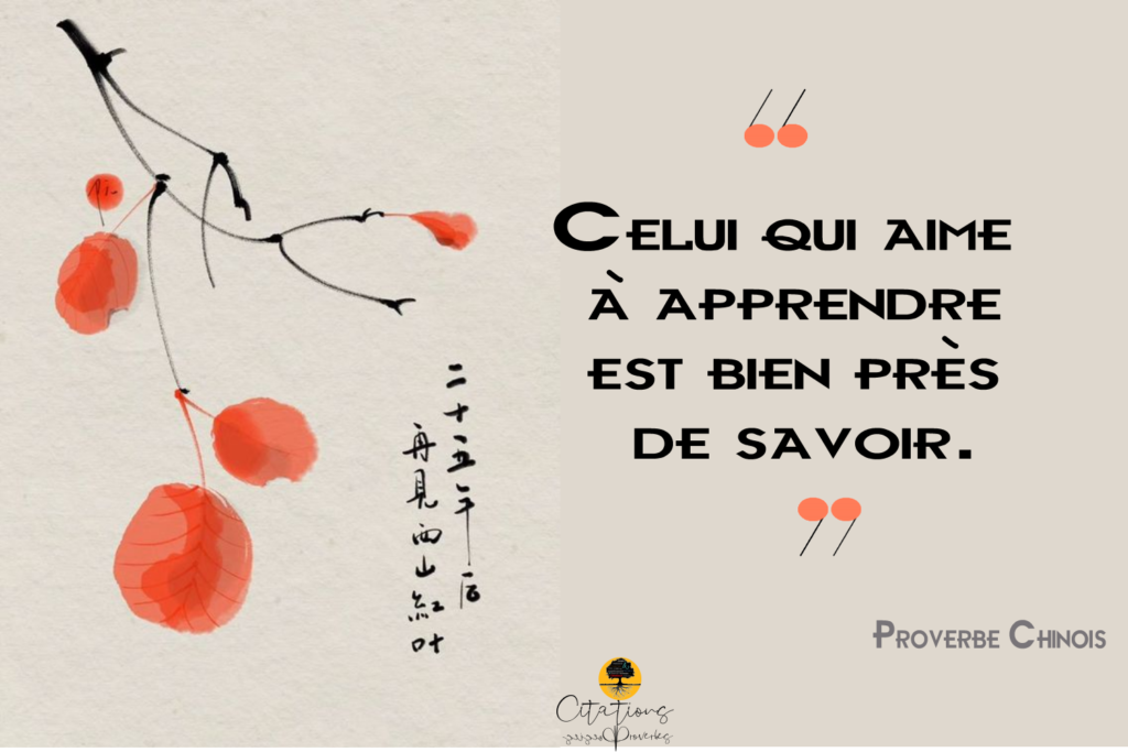 TOP 10 DES PROVERBES CHINOIS - Citations Proverbes et Poésies