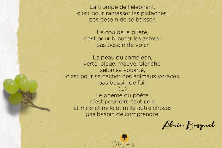 Le Poème Du Poète Cest Pour Dire Tout Cela Et Mille Et Mille Et Mille