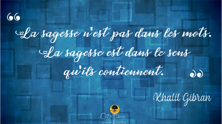 La sagesse n'est pas dans les mots. La sagesse est dans le sens qu'ils ...
