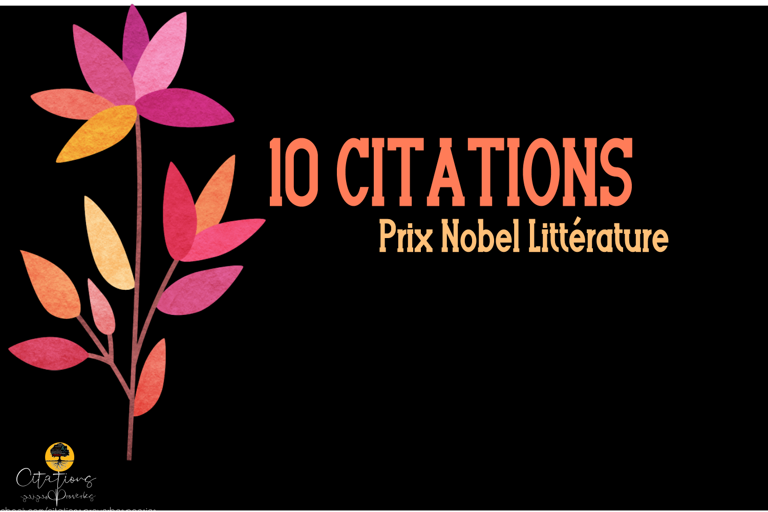 10 Citations Prix Nobel Littérature - Citations Proverbes et Poésies