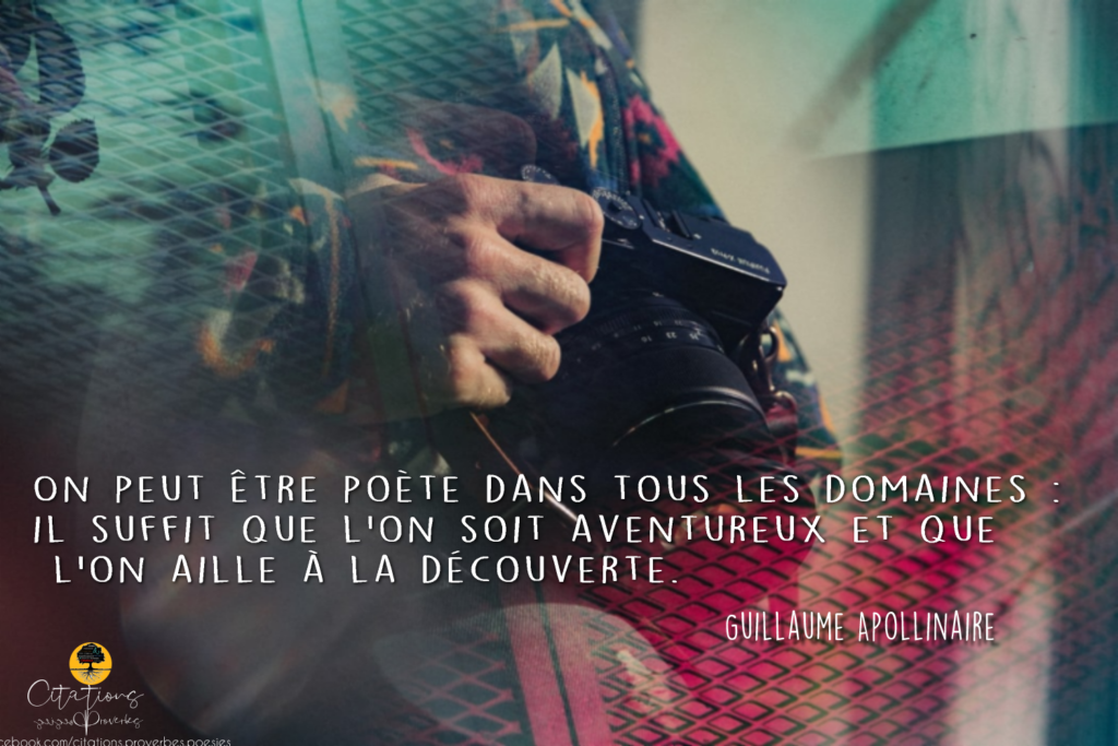 TOP 10 CITATIONS SUR Découverte - Citations Proverbes et Poésies