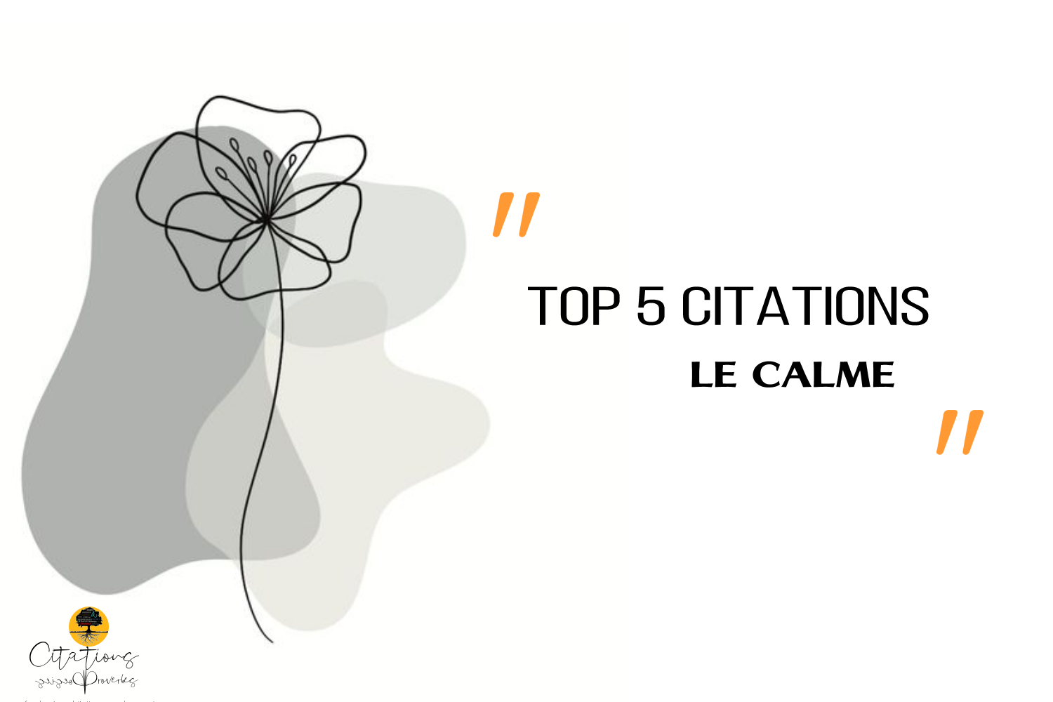 TOP 5 CITATIONS SUR LE CALME - Citations Proverbes et Poésies