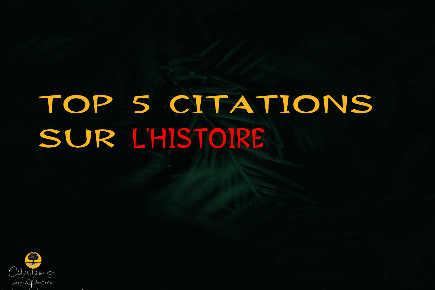 TOP 5 CITATIONS SUR L'HISTOIRE - Citations Proverbes et Poésies