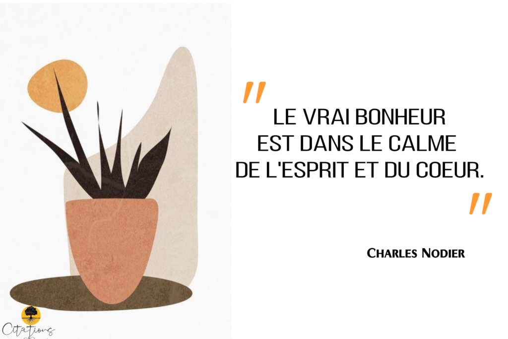 TOP 5 CITATIONS SUR LE CALME - Citations Proverbes et Poésies