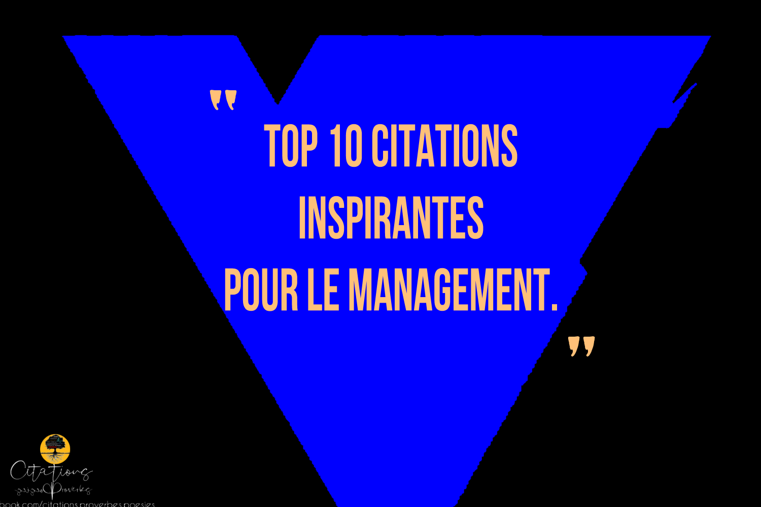 TOP 10 CITATIONS INSPIRANTES POUR LE MANAGEMENT - Citations Proverbes ...