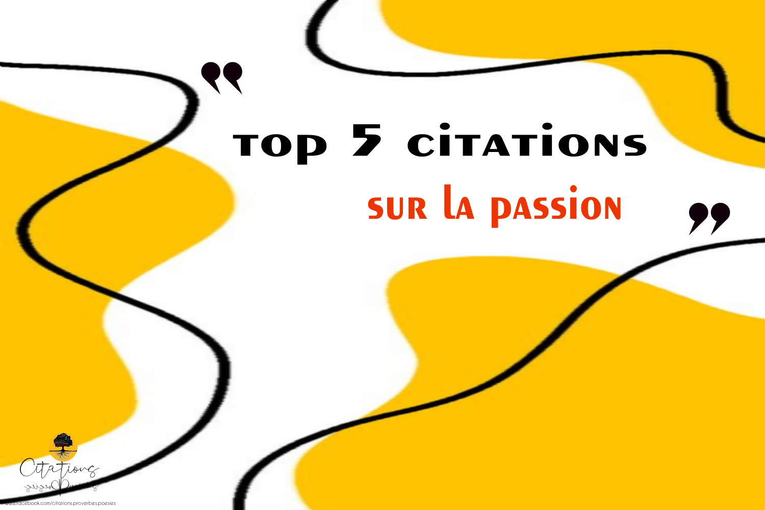 TOP 5 CITATIONS SUR LA PASSION - Citations Proverbes et Poésies