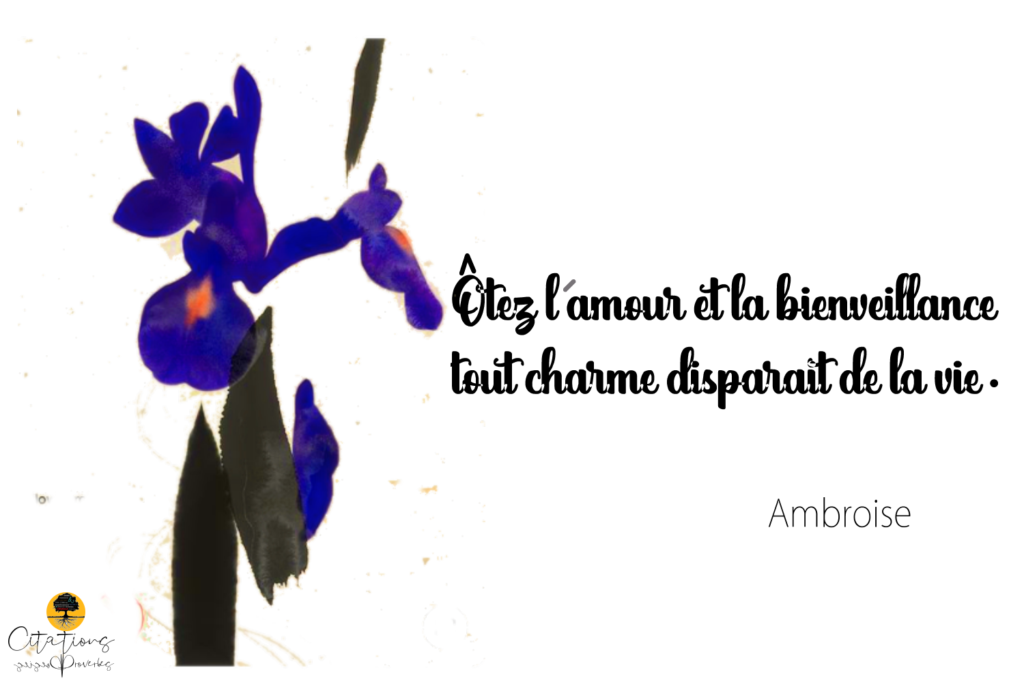 TOP 5 CITATIONS SUR LA BIENVEILLANCE - Citations Proverbes et Poésies