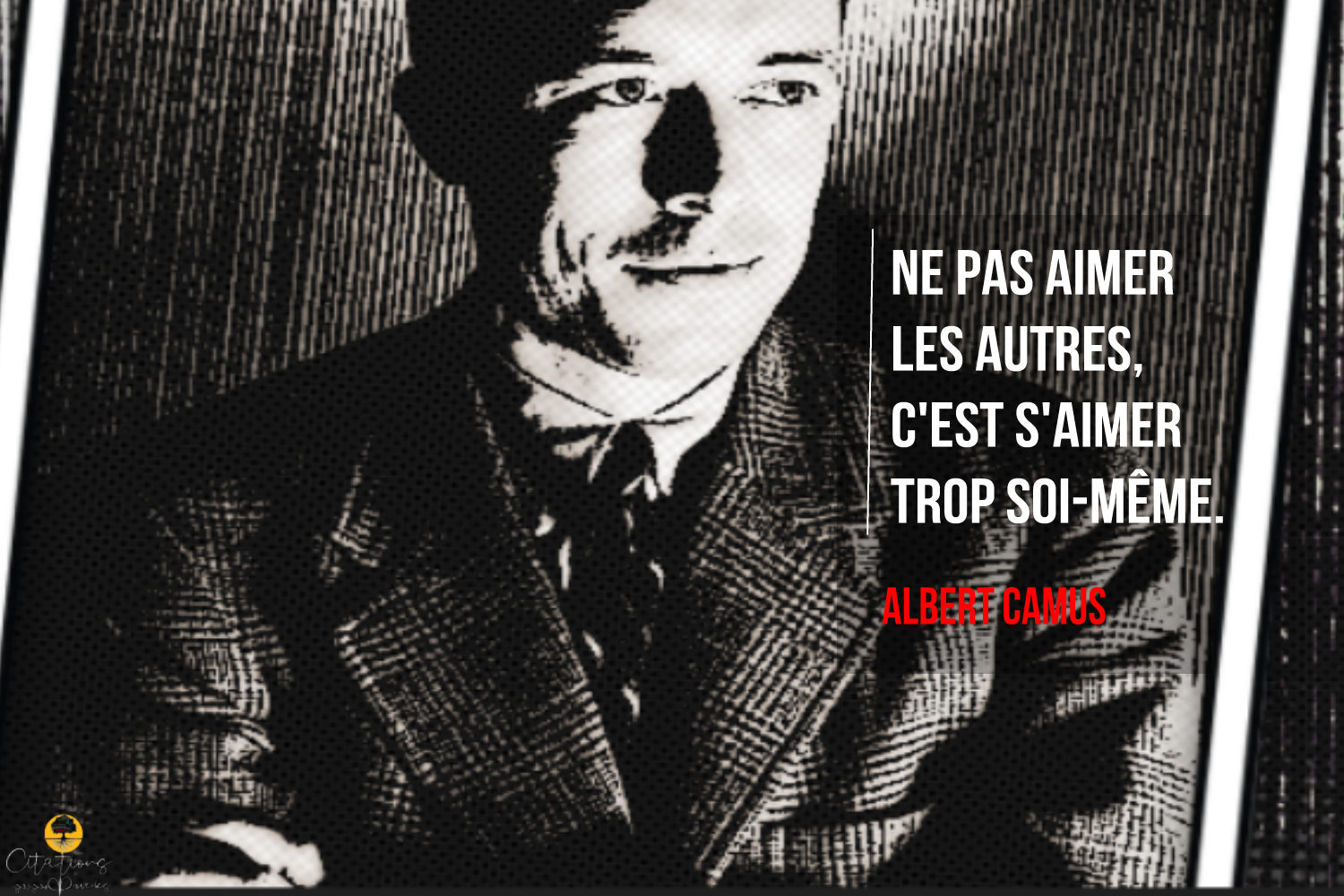TOP 5 CITATIONS D'ALBERT CAMUS - Citations Proverbes et Poésies